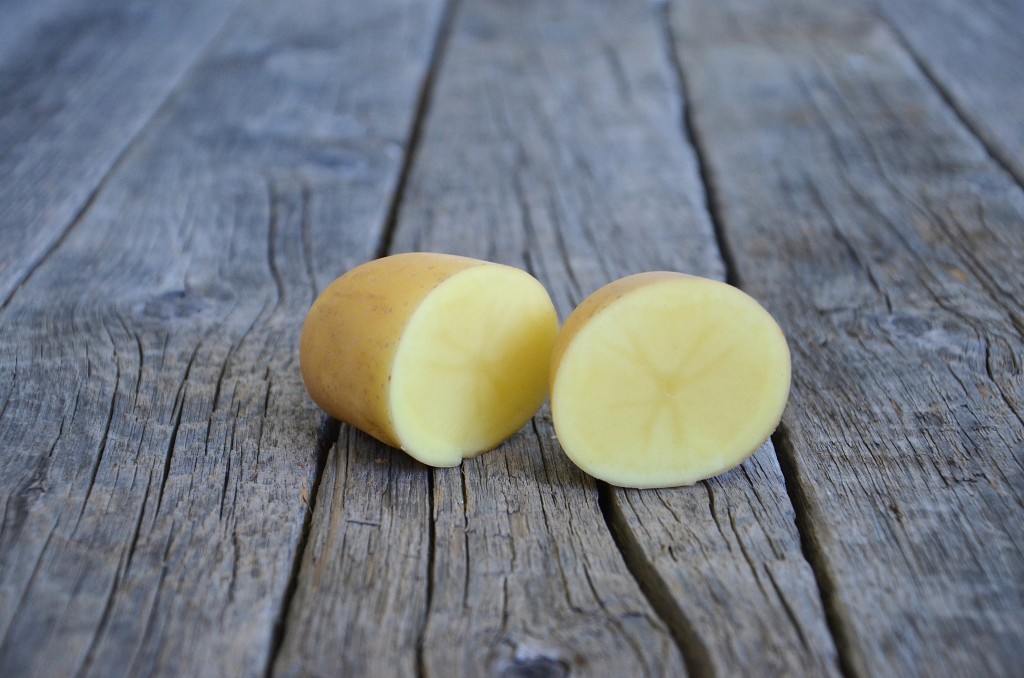 Queen Anne cut - Solanum International