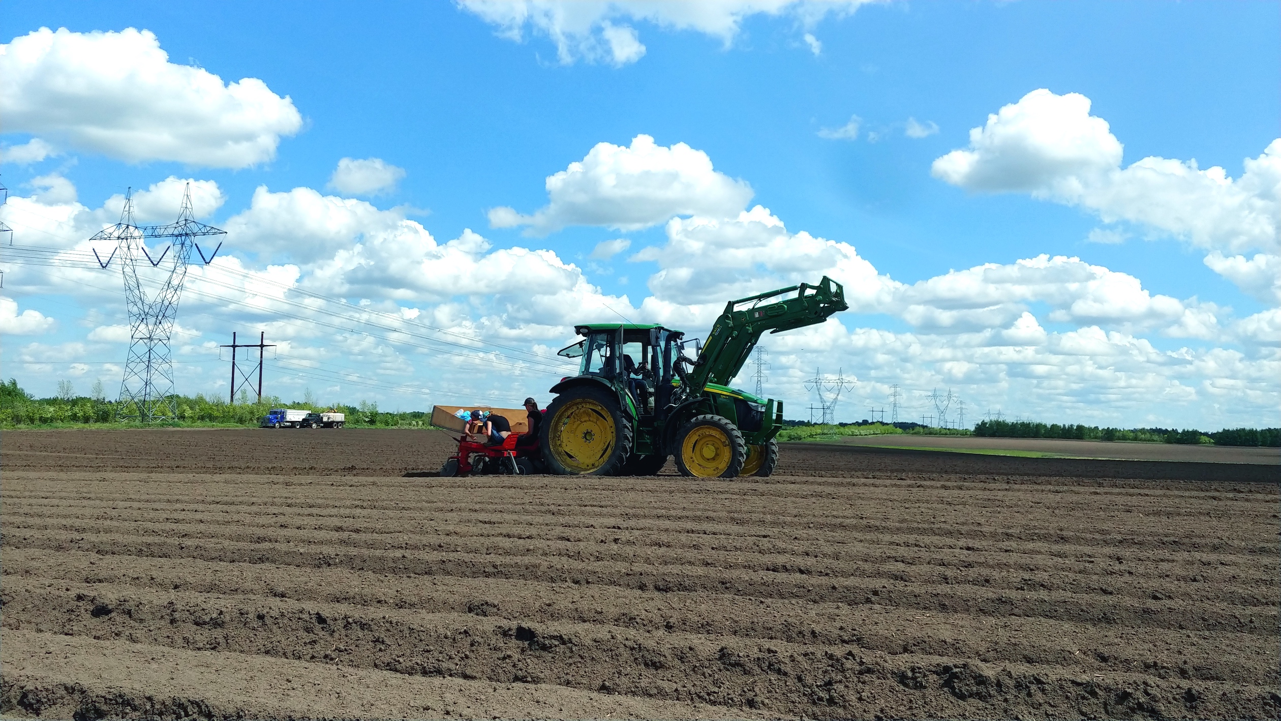 Minituber planting - Solanum International